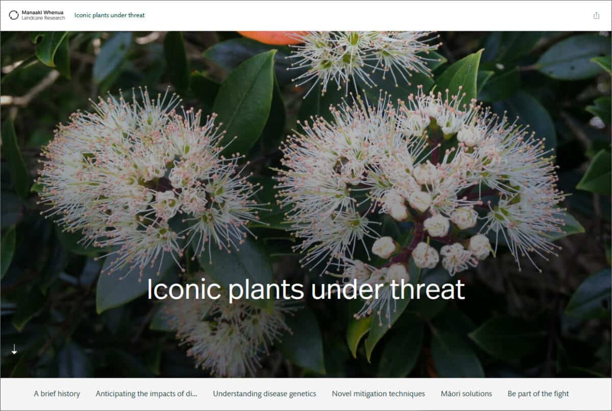 The Beyond Myrtle Rust story map is here! - Biological Heritage NZ