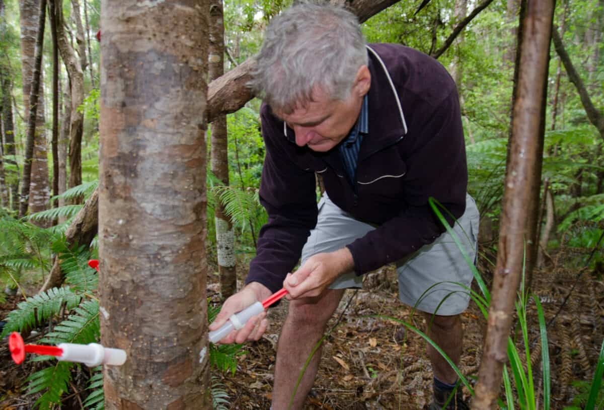 Kauri Ora – Biological Heritage NZ