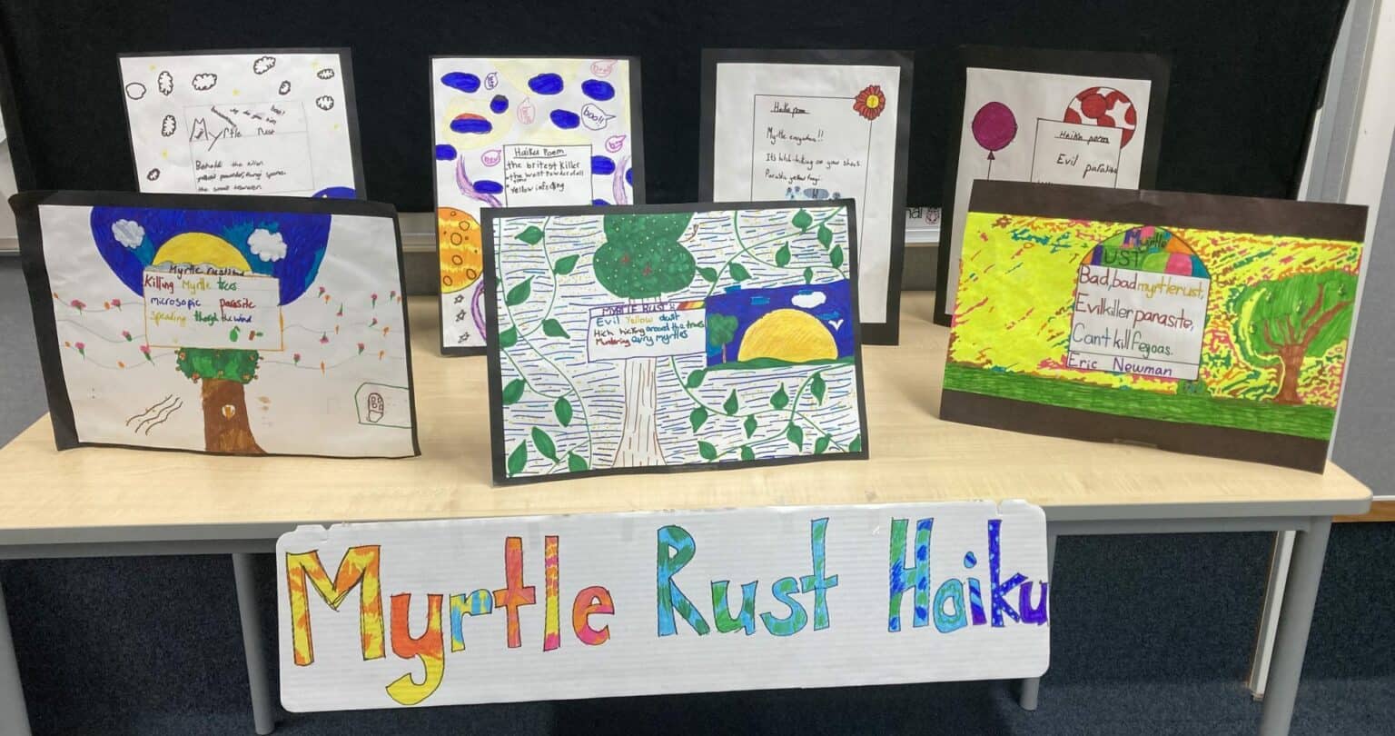 How Did Konini Primary Celebrate Matariki? - Biological Heritage NZ