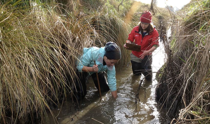 Rebuilding Healthy Rivers – Biological Heritage NZ