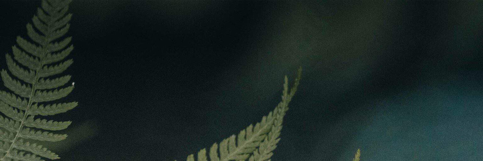 Mai i te Pū ki te Wānanga: Interpreting Synchronistic Meaning Through a ...