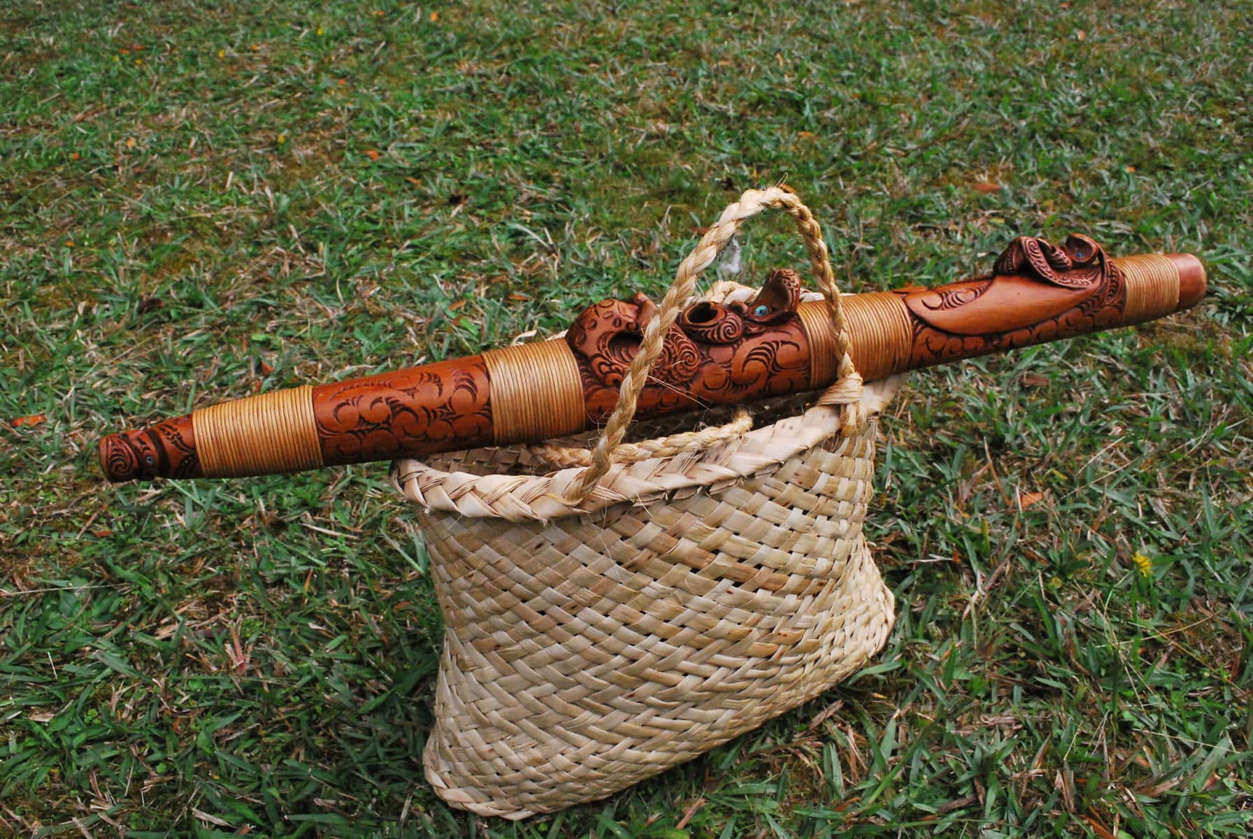 Documentary shows how sound can connect us to the forest and raise ...