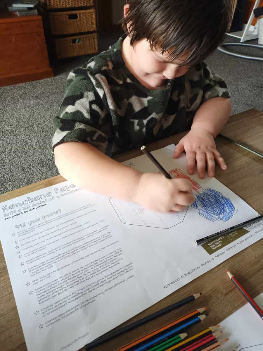 Kanakana Papercraft Competition - Biological Heritage NZ