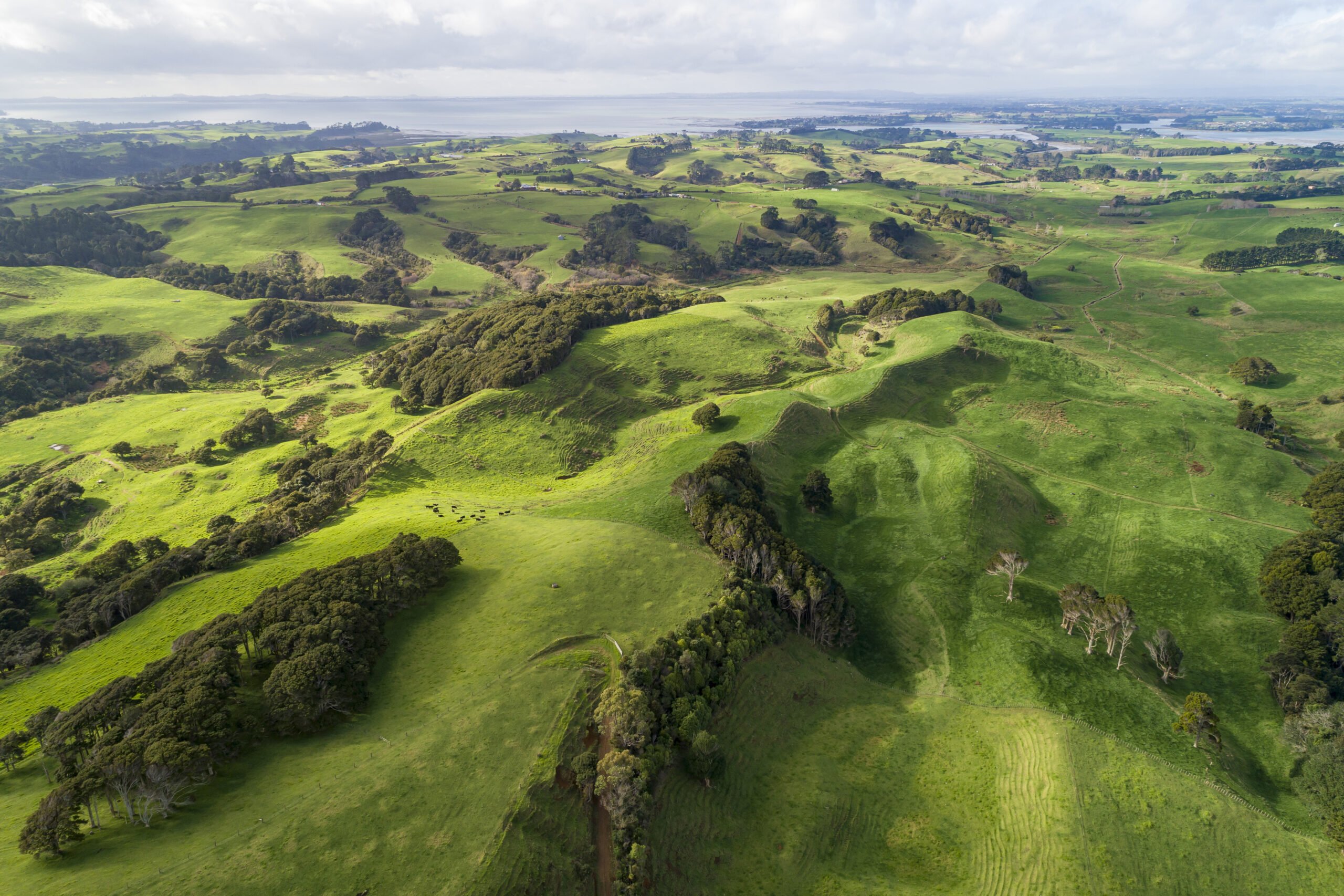 Eco-index Restoration Map has launched! Here’s the buzz. - Biological ...