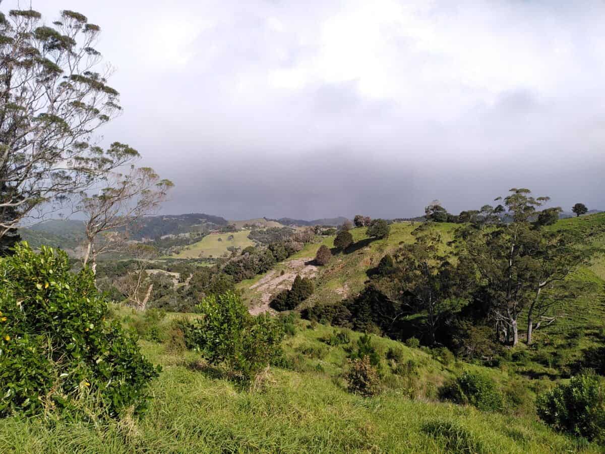 A postdoc for AUT Living Labs - Biological Heritage NZ