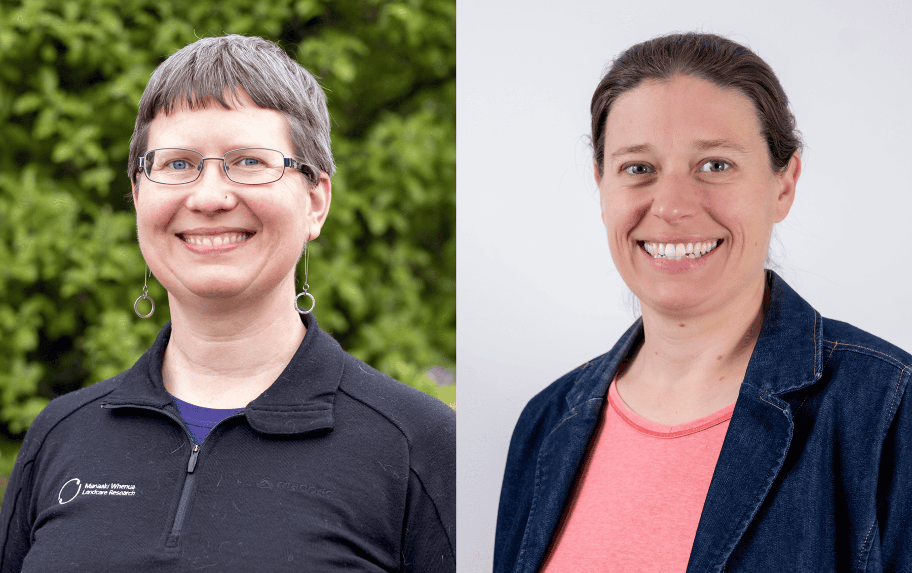 A clearer outlook on the future of plant invasions - Biological Heritage NZ